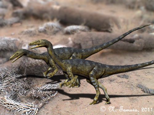 Paleoexhibit: Theropods of the British Isles Part I