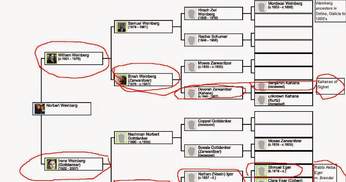 COURAGE OF THE SPIRIT: Kahane Family Trees