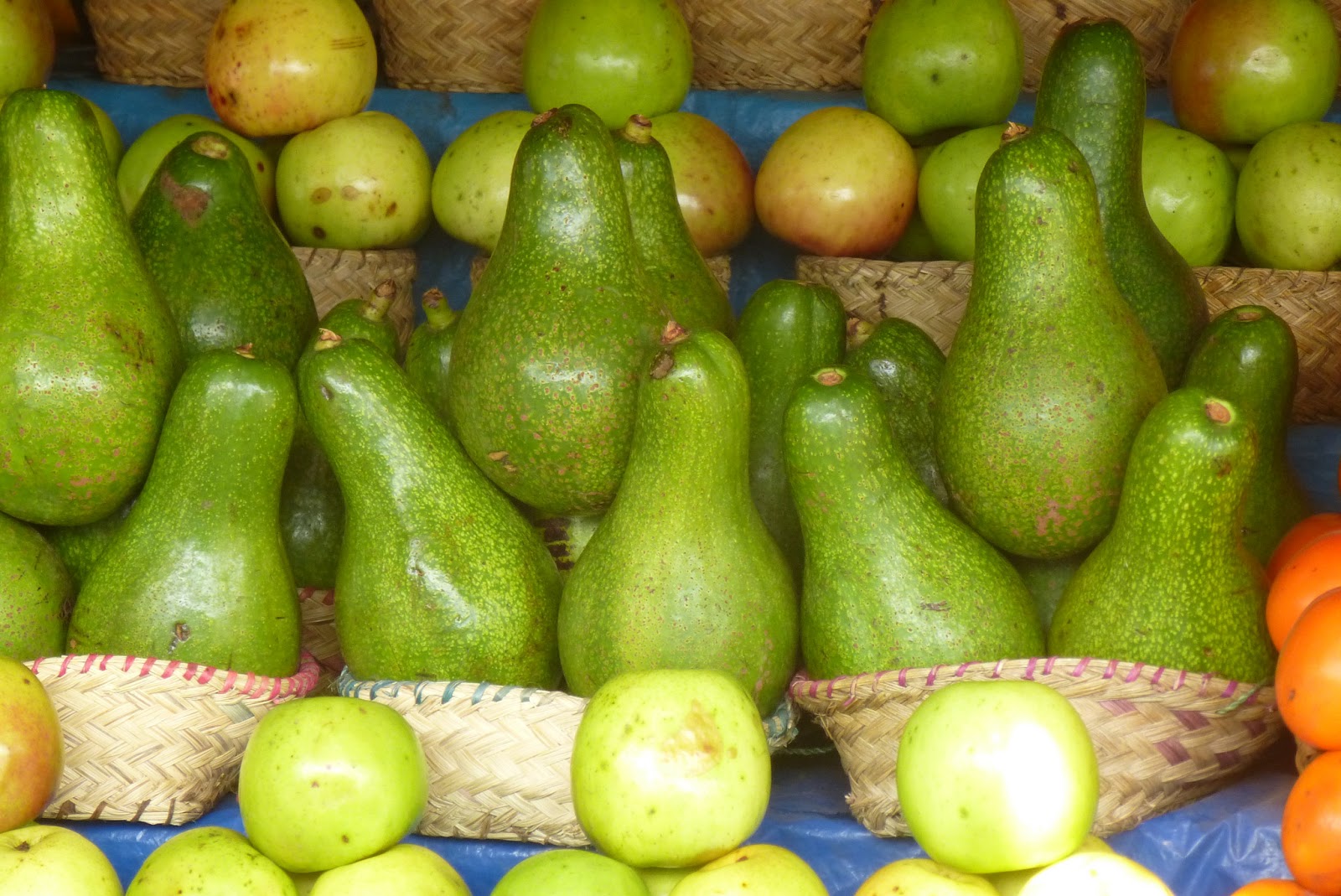 Séjour Madagascar 2013