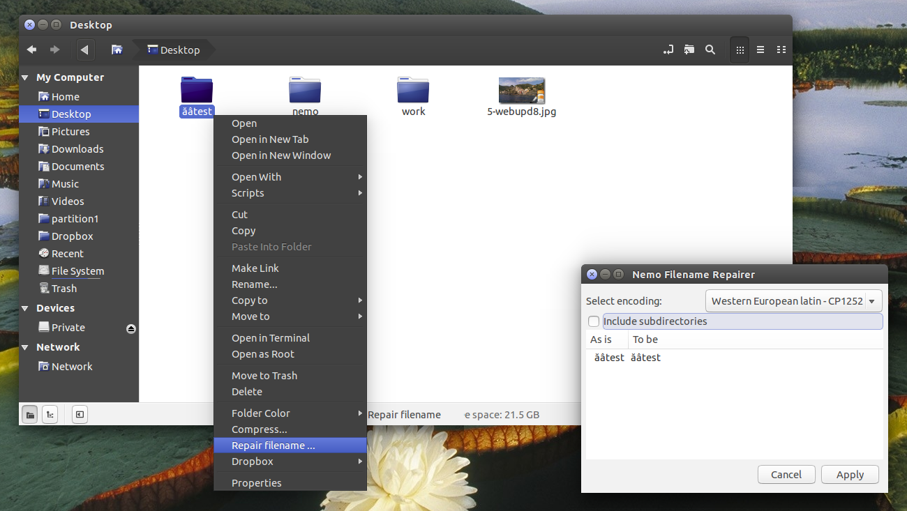 Nemo Emblems, Image Converter and Filename Repairer Extensions Added To ...