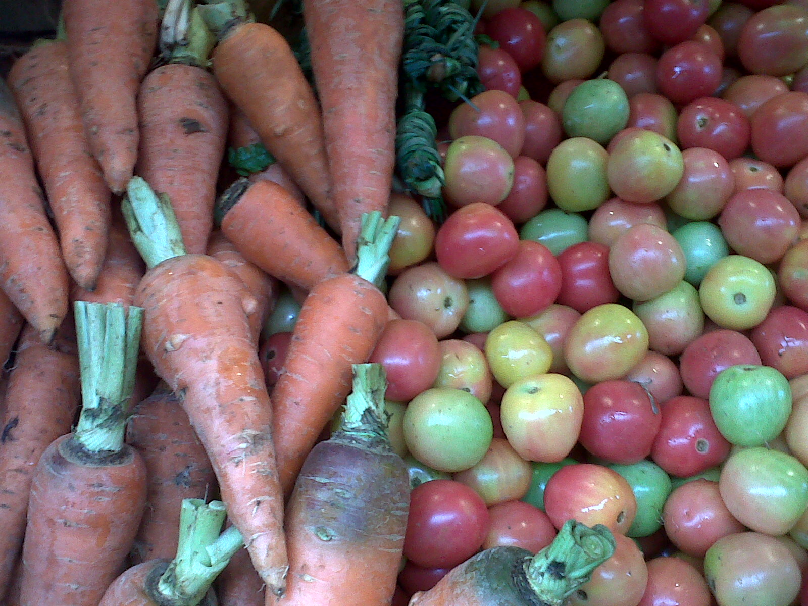 Finding the real locals: Bankerohan Public Market | Hello from Davao.