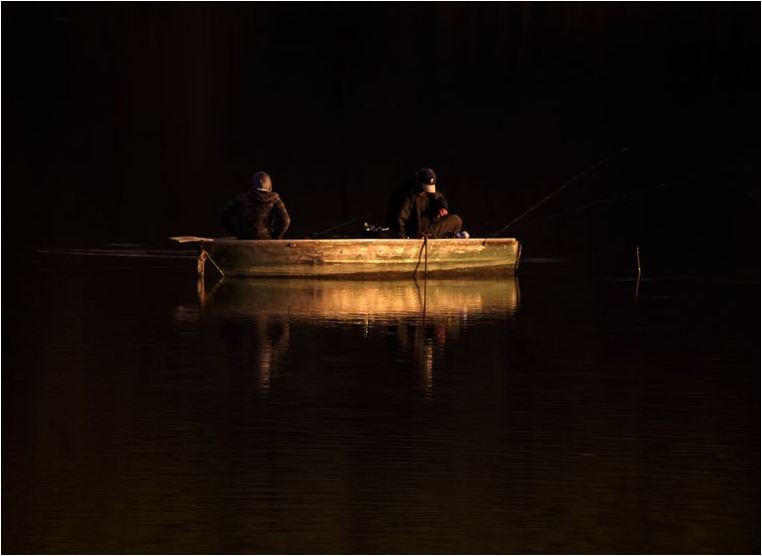 The Best Photos of the Day: June 16, 2013