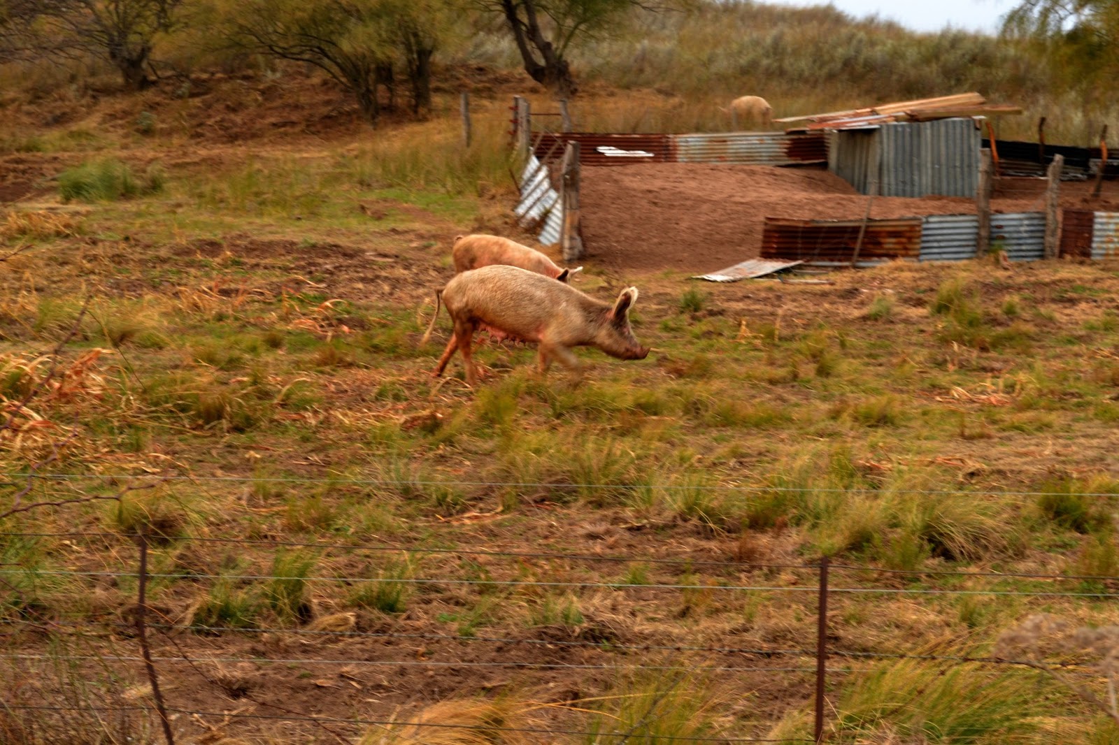 Claudio Tomassini: Médanos - Claudio Tomassini Fotografía