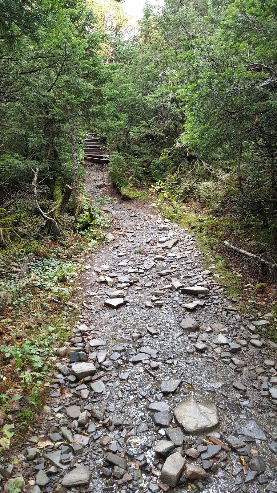 Les montagnes au Québec: Mont Albert