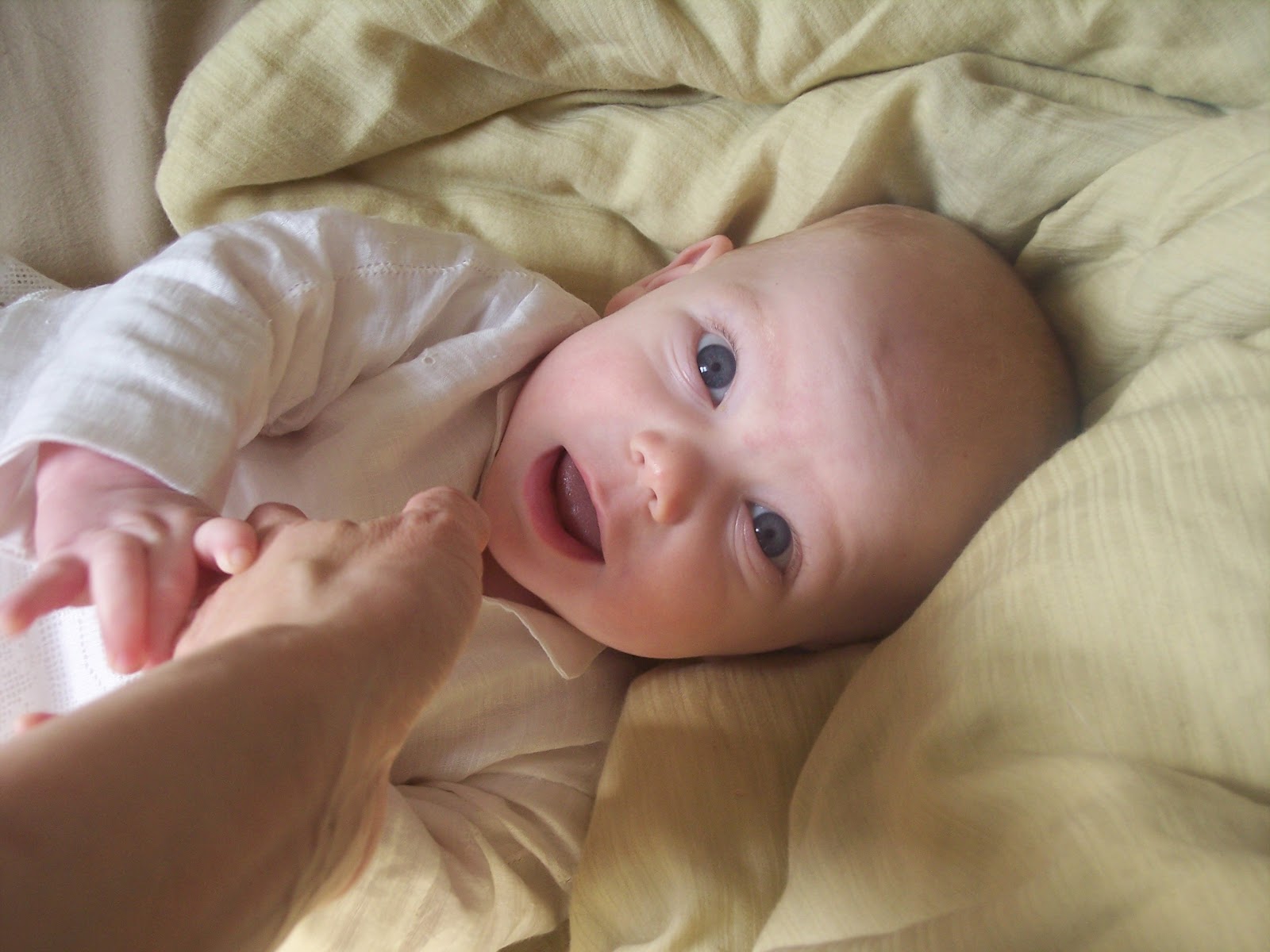 Flying Squirrel: A Gown for Baby Rafe