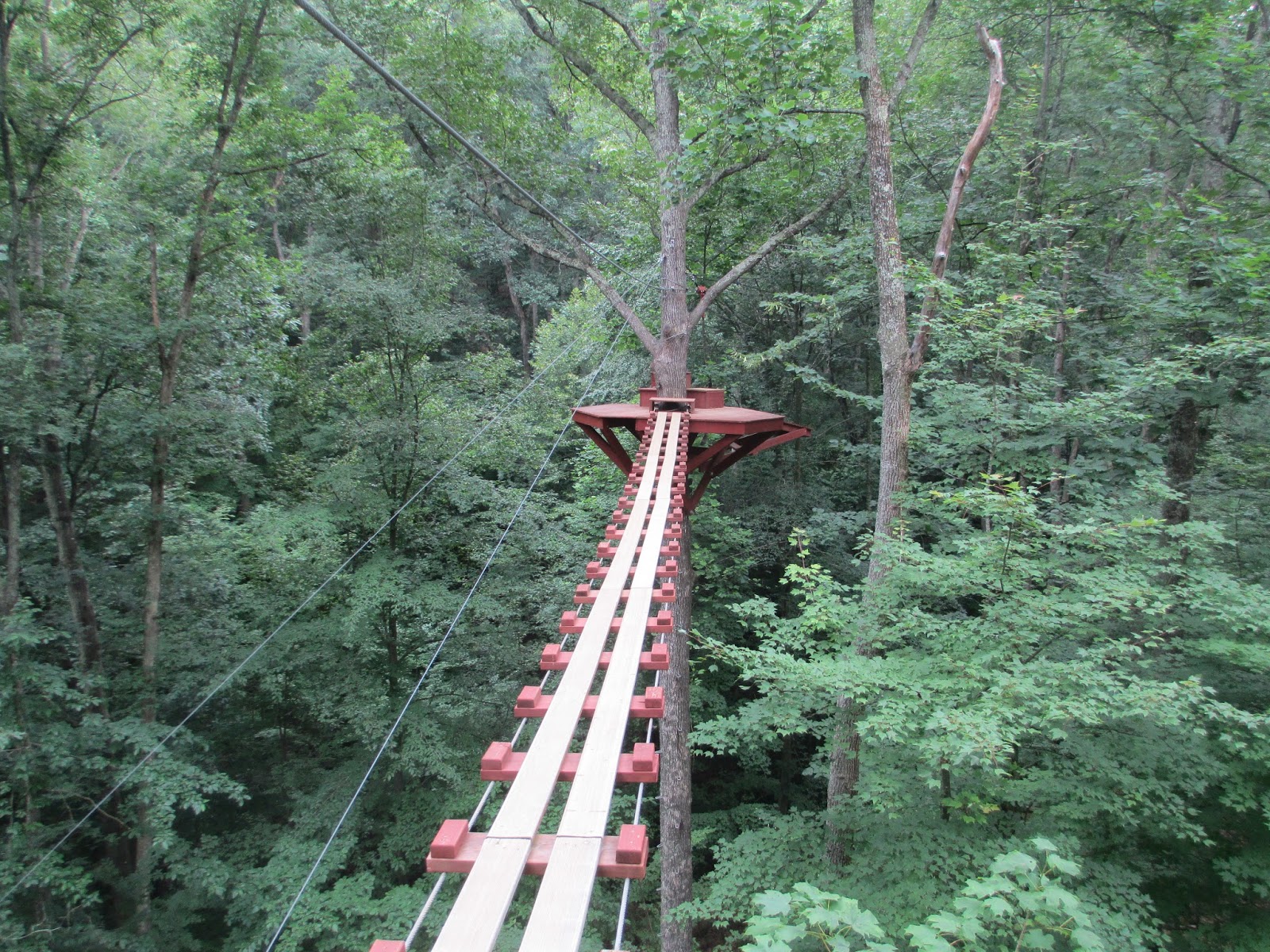 Ziplining Across the USA: Thursday July 4 Explore Brown County Zip Line