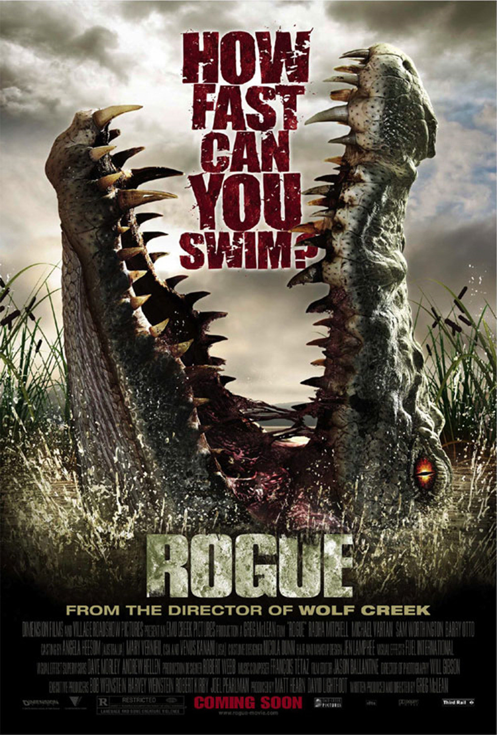 Life Cycle: Movie Review: Rogue (2008)