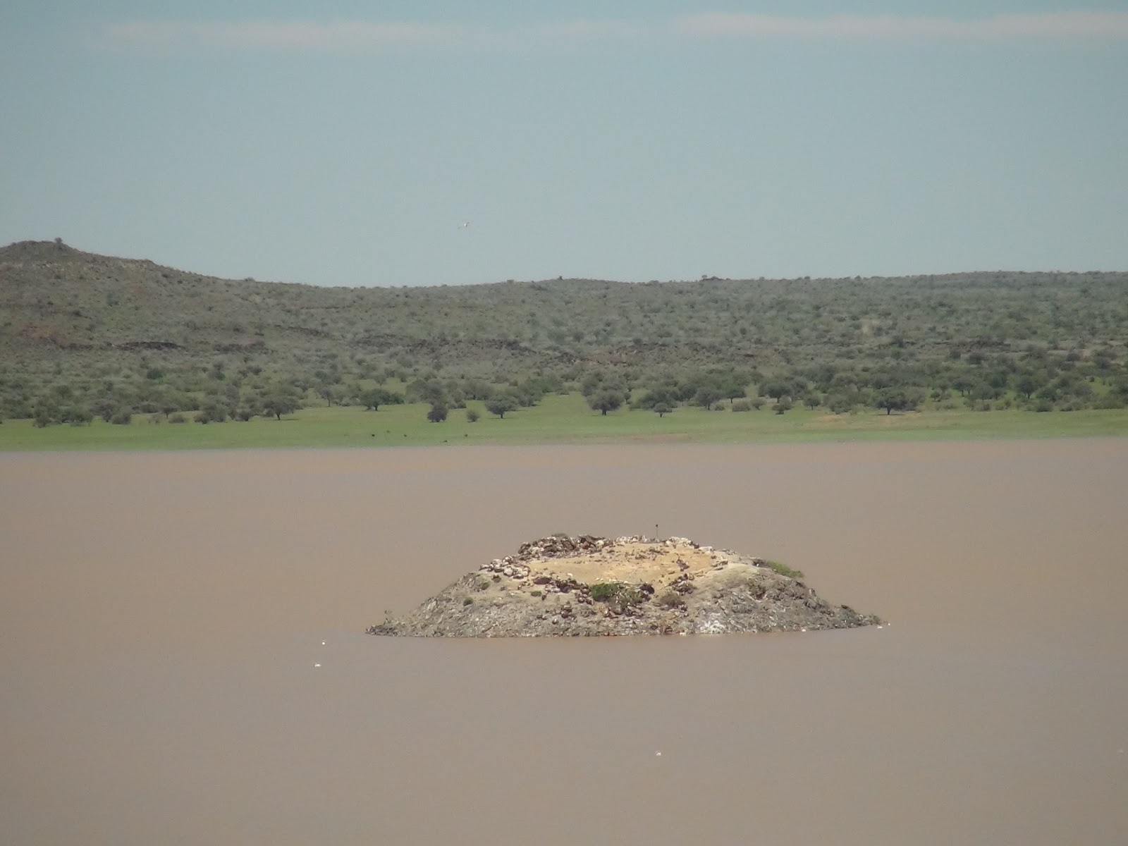 News from Southern Africa & Namibia: Namibia: Hardap Resort after ...
