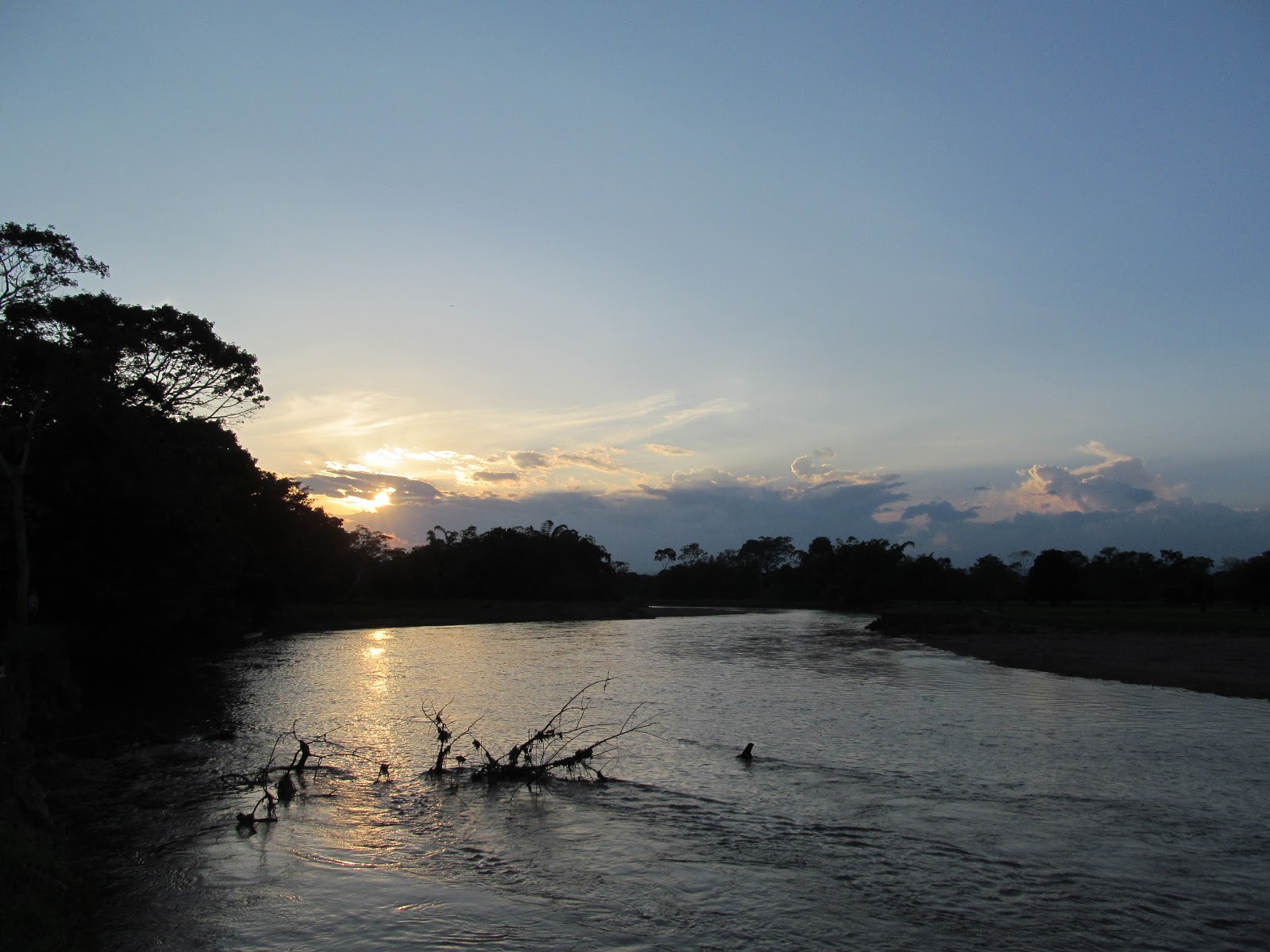 Espacio de Pesca: Pesca de nicuro en Estacion Cocorna, Puerto Triunfo ...