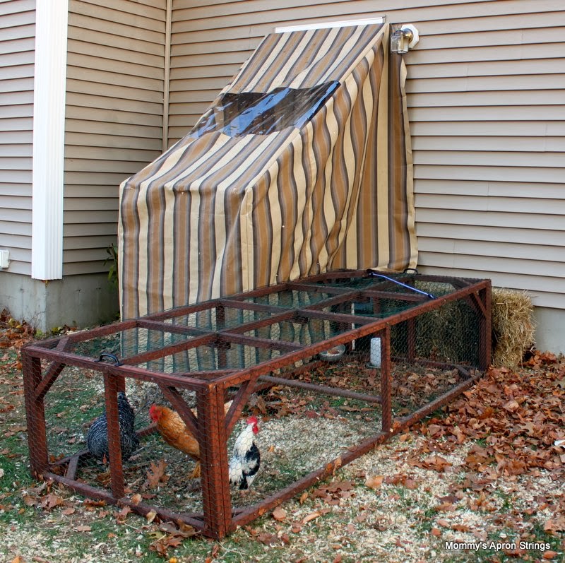 Mommy's Apron Strings: Biggest Project Ever: Chicken Tent!!