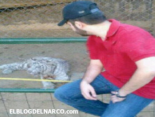 Noticias sobre el narco : MundoNarco.Com