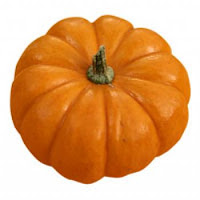 Flavors of Brazil: VEGETABLES OF BRAZIL - The Squash Family (Abóboras)