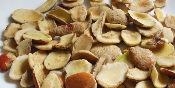 What you need to know about Bush Mango Seed