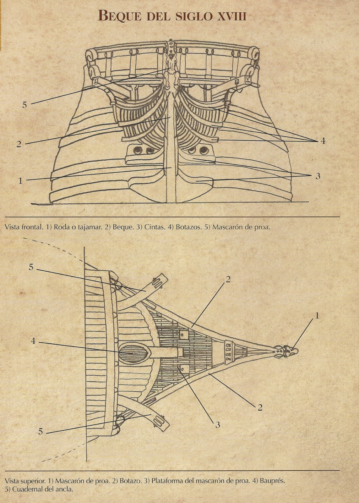 El Soleil Royal paso a paso: Del espolón al beque, funciones y evolución