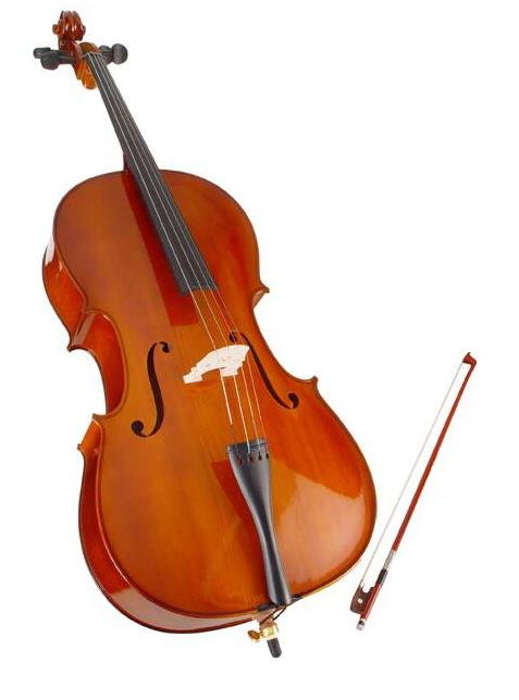 Hudební nástroje - CHORDOFONY: Violoncello