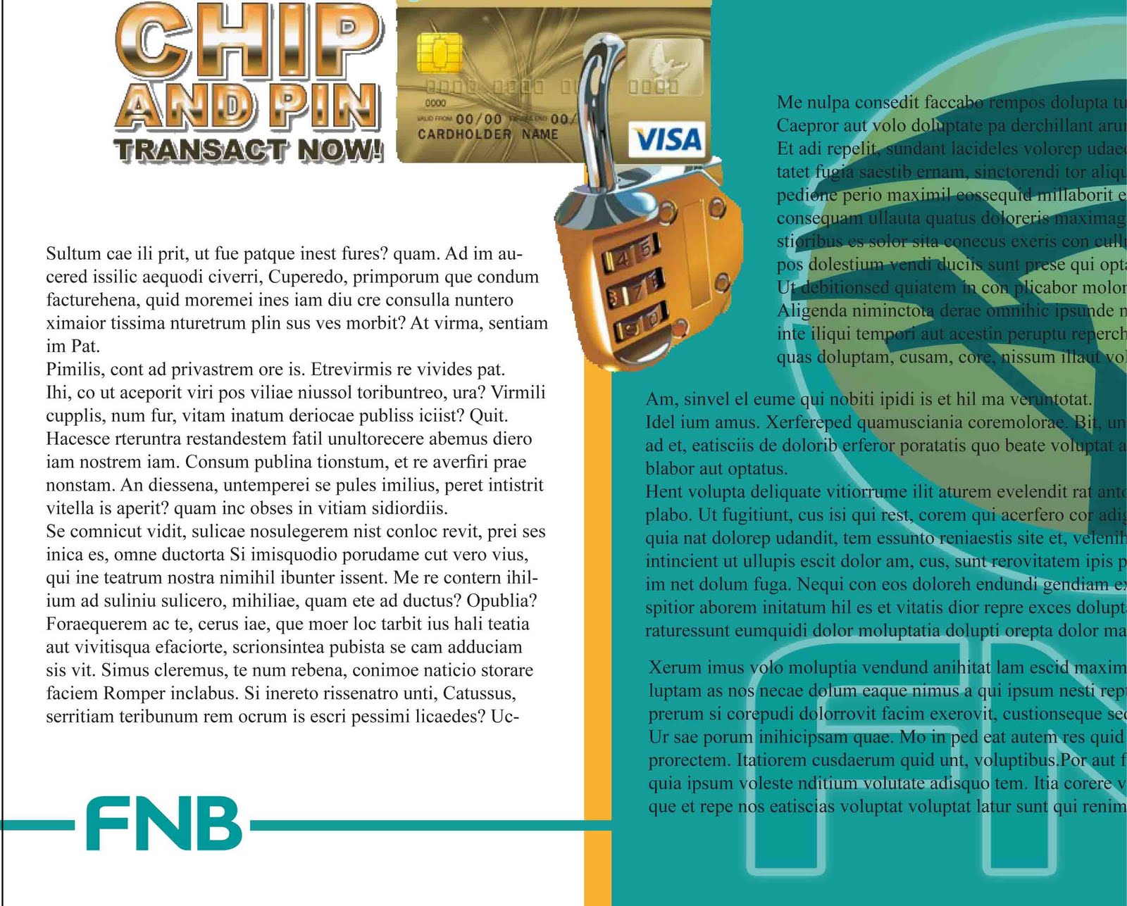 splatterdrips: FNB brochure and business card