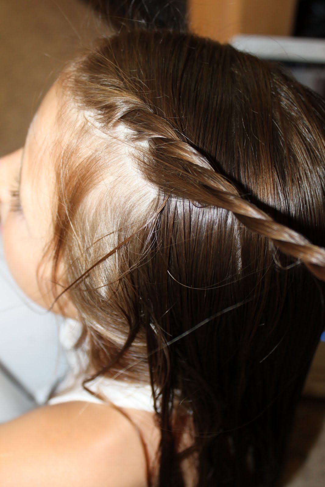 Rolls to Side Ponytail | Caroline Hair