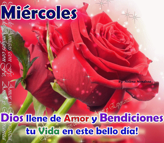 El Mundo de los Gifs: Bello miércoles