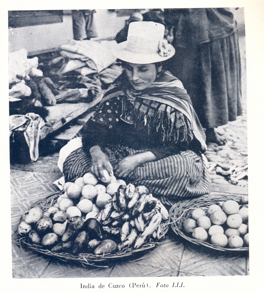 Quantulumcumque: Indígenas del Perú