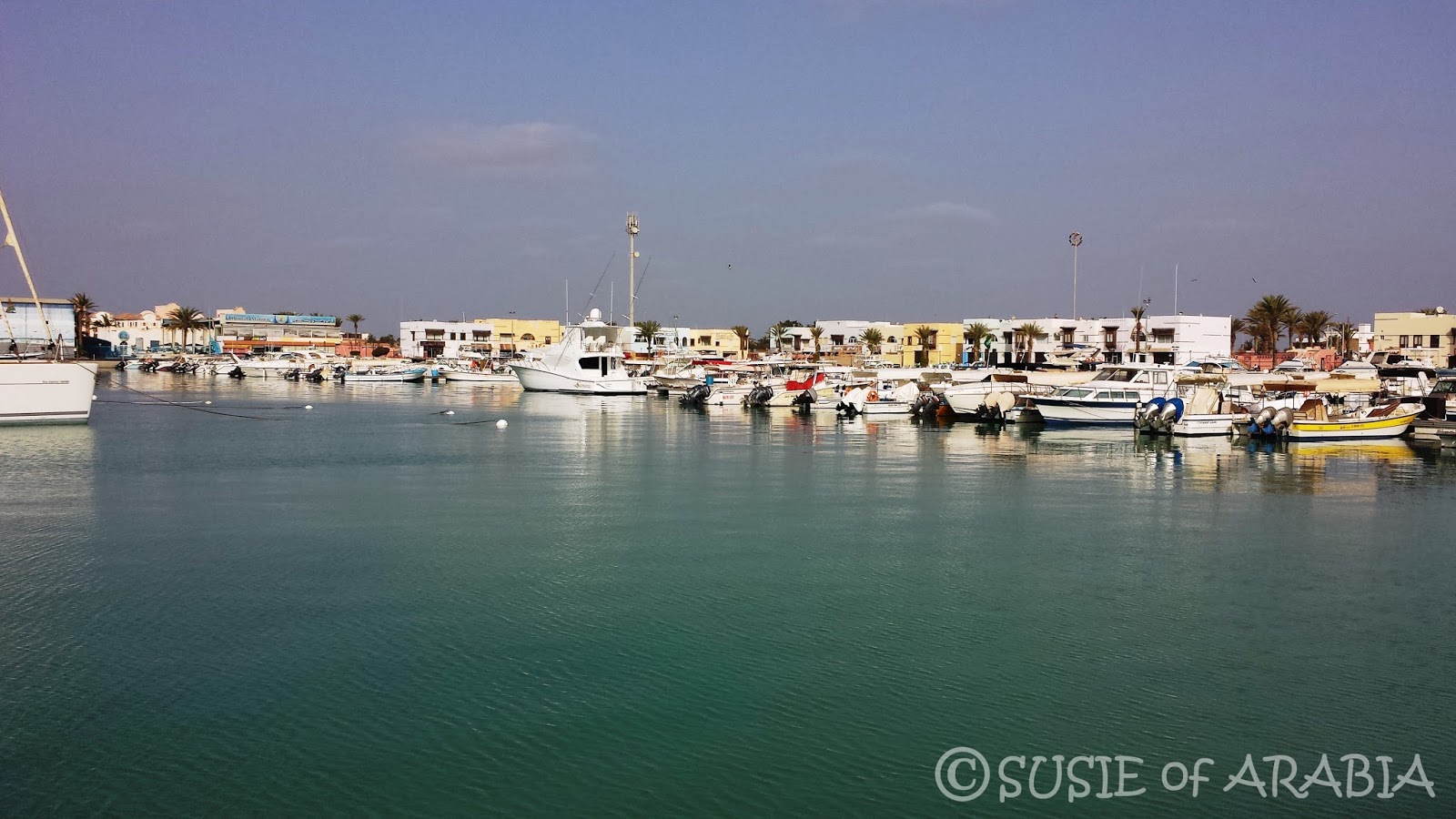 Jeddah Daily Photo: Morning at Durrat Al Aroos