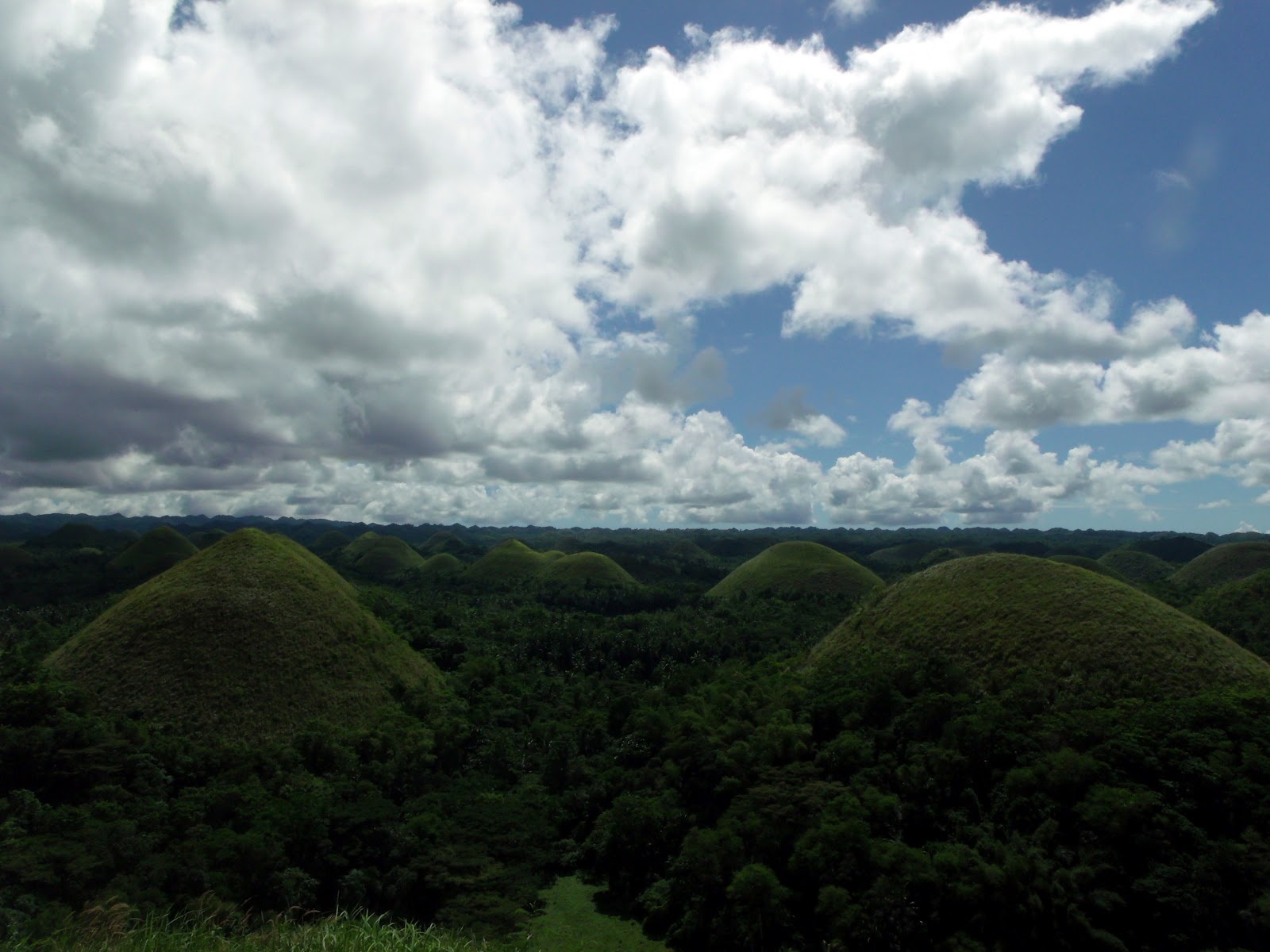 Lakwatserong Opis Worker: Buhol-Buhol sa Bohol The last part