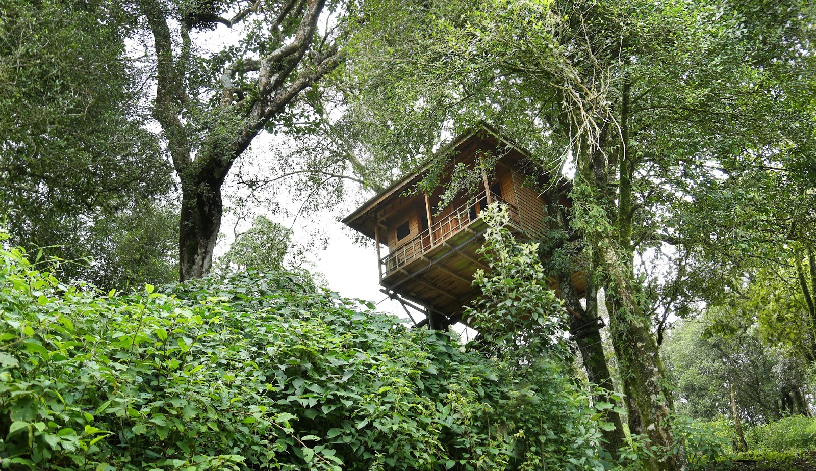 Munnar Nature Zone Resort: Nature Zone Resorts