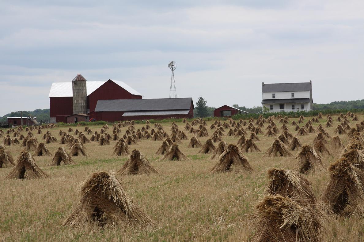 Michigan Exposures: Wandering Around Amish Country