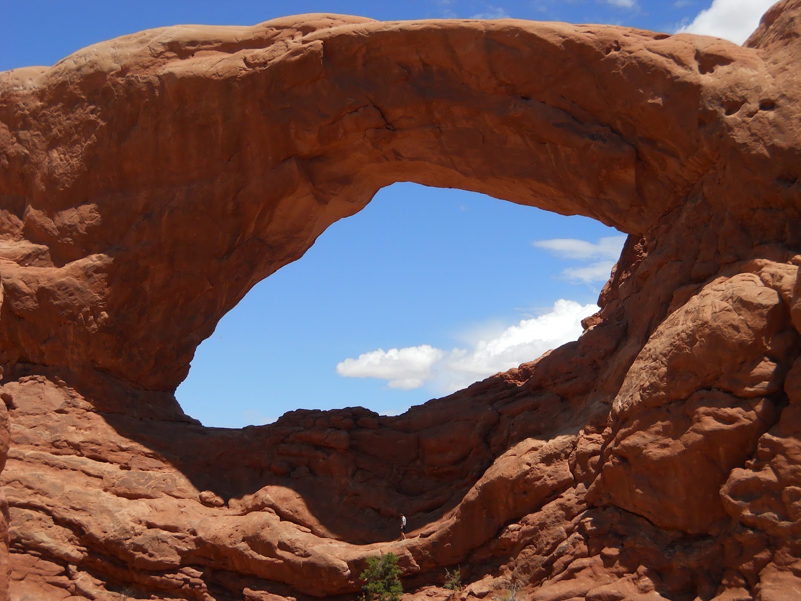 evenfewergoats: Utah 1: Big Rocks Around Moab