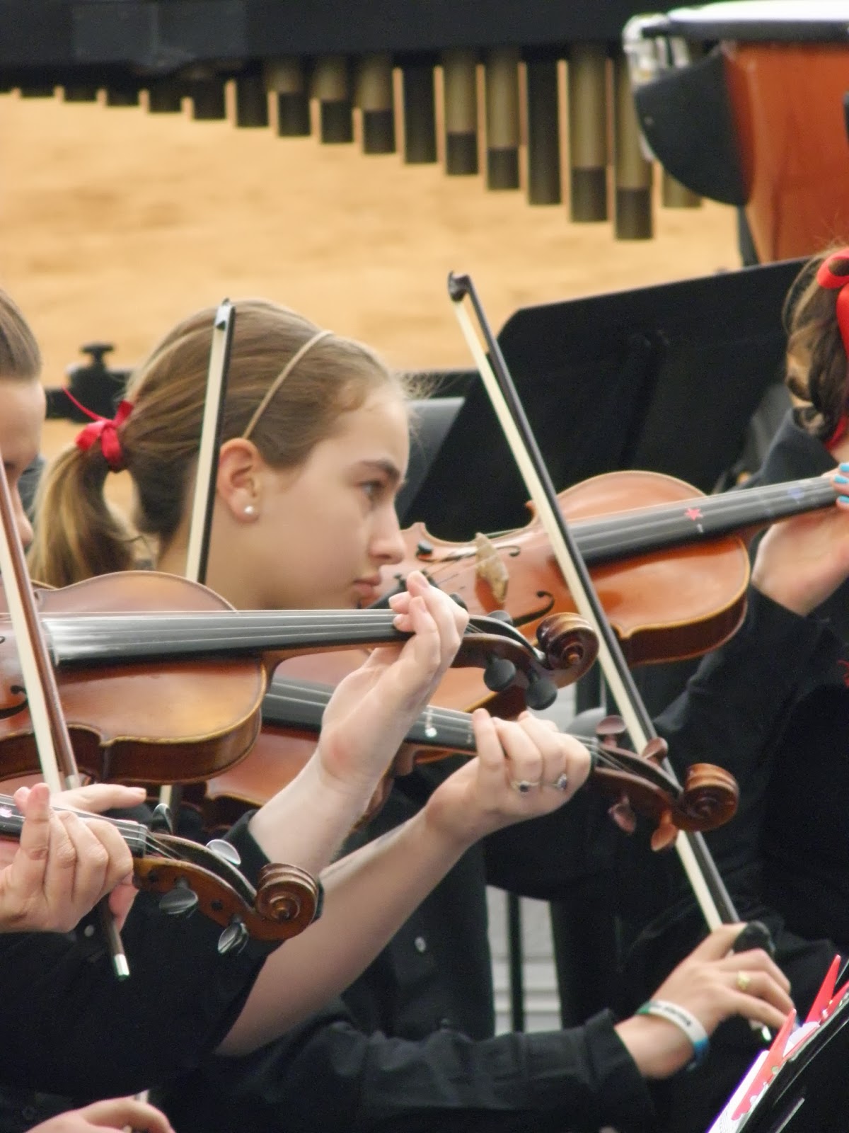 All Aboard the Mothership: Violin all over Australia