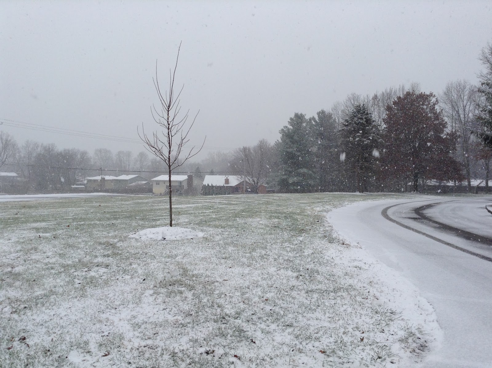 Burl's Weather Page: It's snowing in Bloomington Indiana.