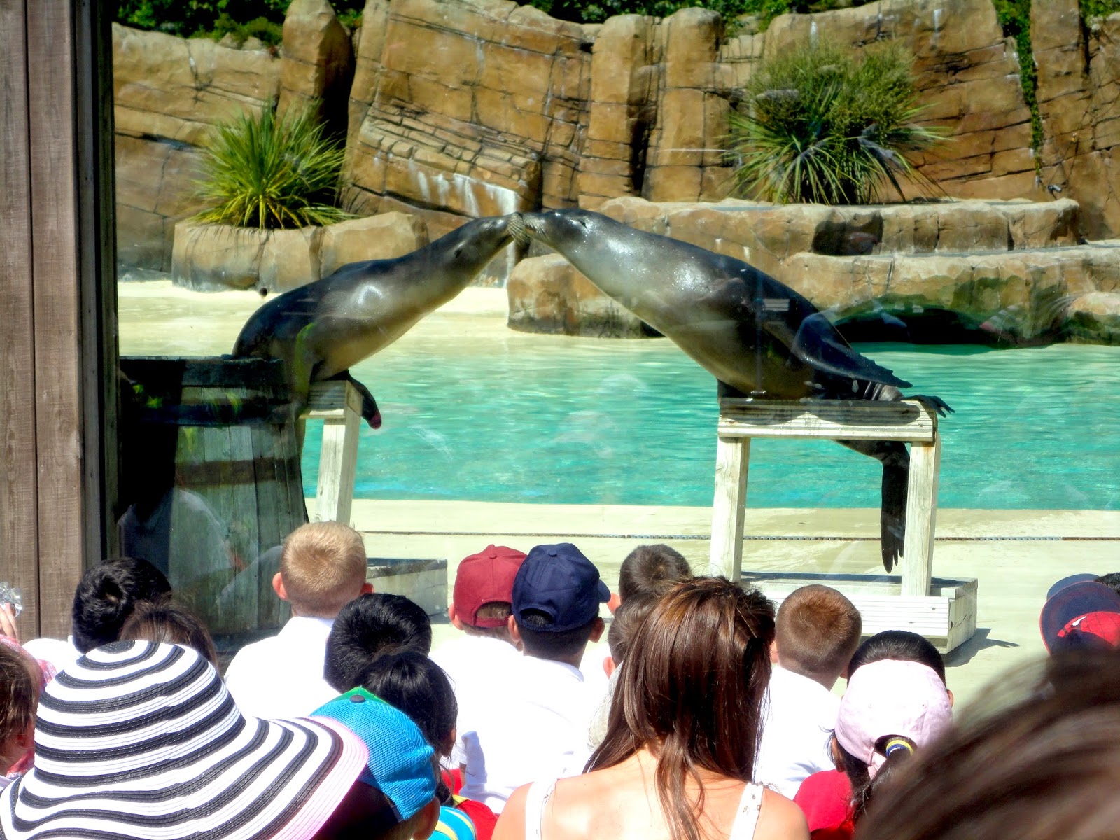 JESSICAWARD: Blackpool Zoo!