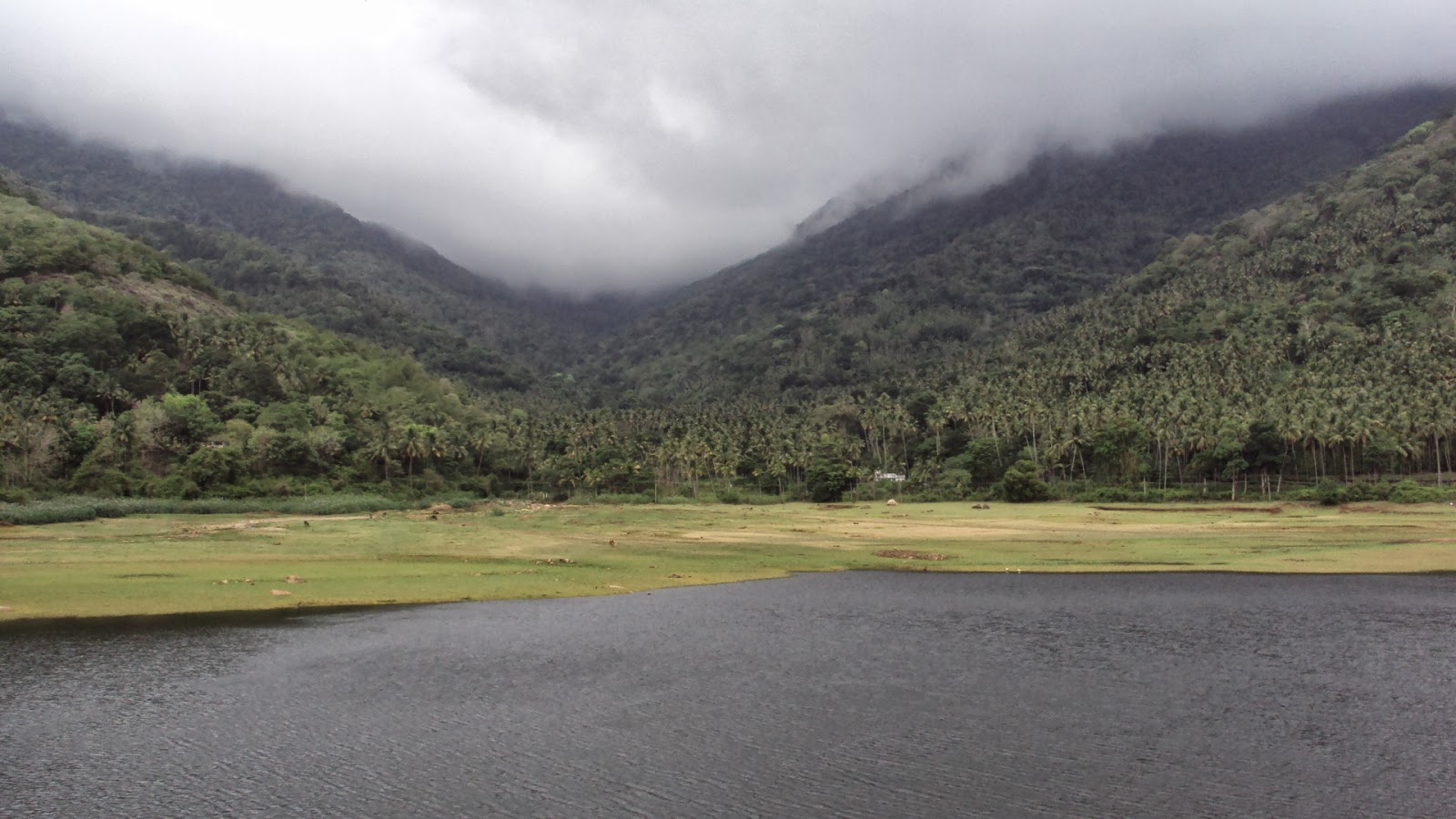 Looking for an Adventure in the valley of Western Ghats