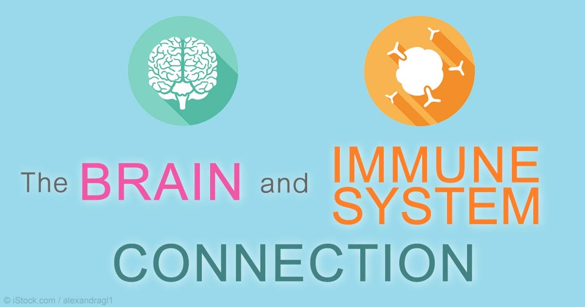 Multiple Sclerosis--the vascular connection: The brain needs immune cells