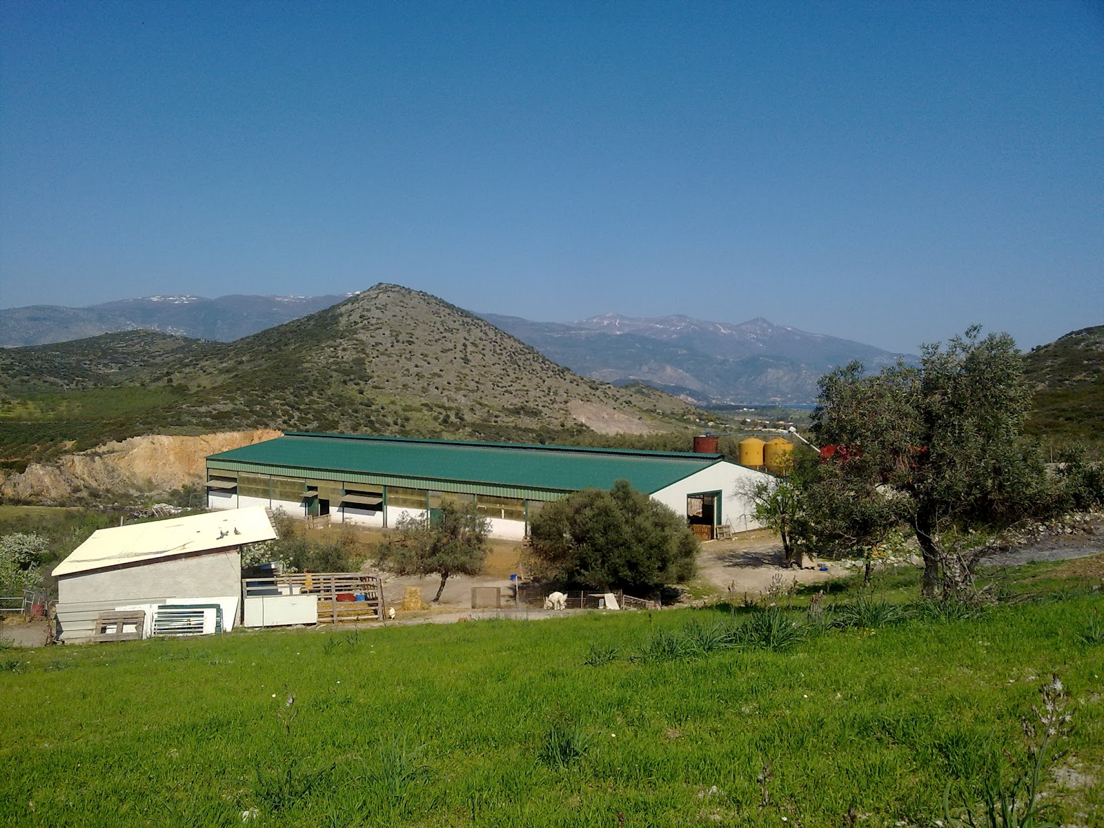 ΜΟΝΑΔΑ ΕΚΤΡΟΦΗΣ ΚΑΙ ΒΕΛΤΙΩΣΗΣ ΠΡΟΒΑΤΩΝ ΚΑΙ ΑΙΓΩΝ
