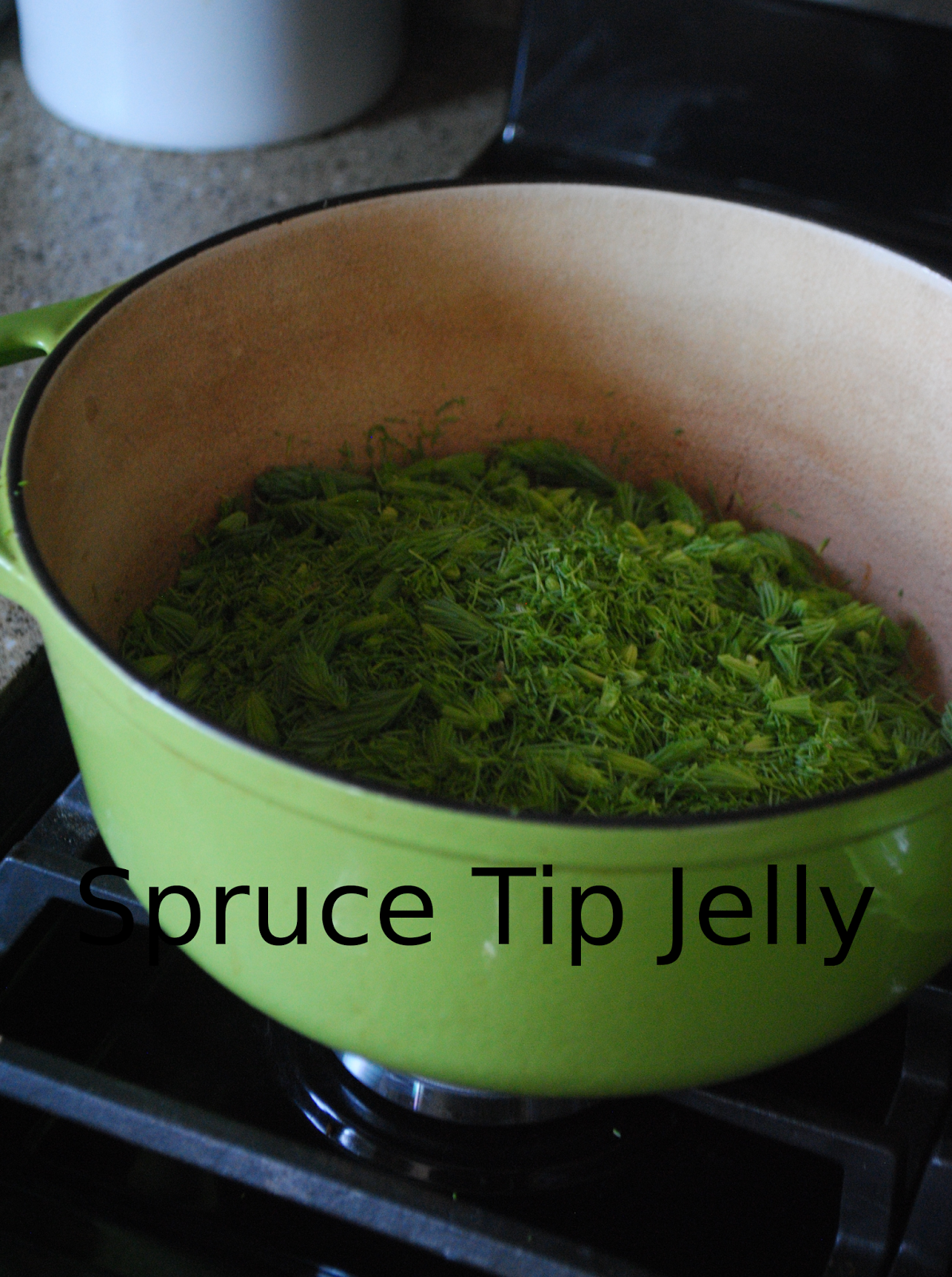 Lori's Lipsmacking Goodness: Spruce Tip Jelly