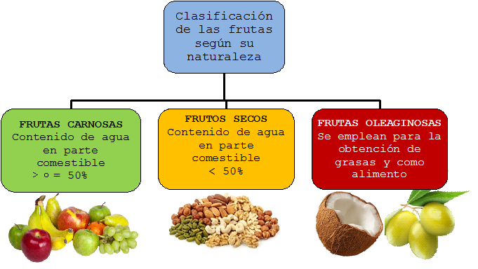 5TPIA14: Composición química de frutas y hortalizas