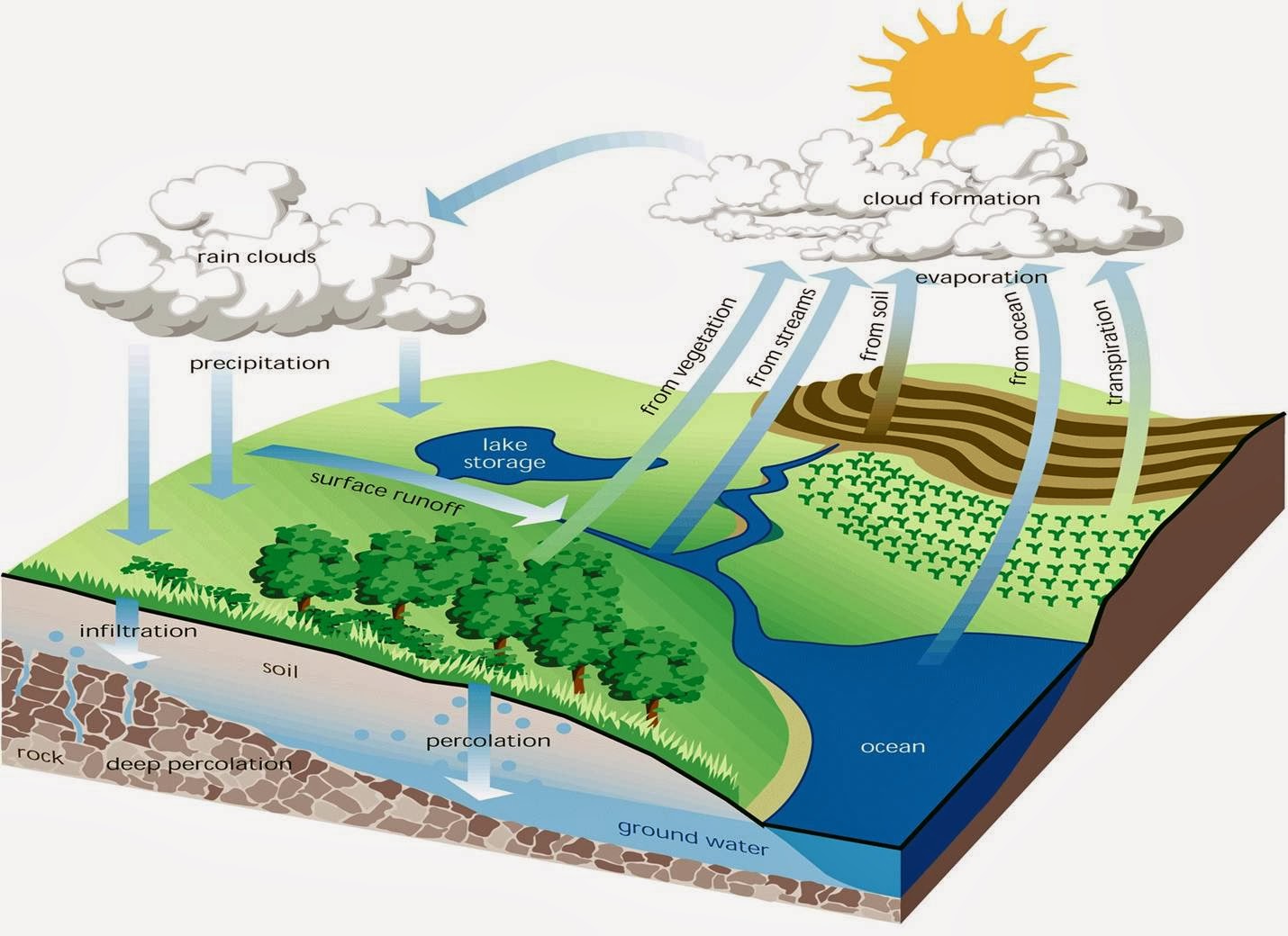 EAGLE-ID: Siklus Hydrologi