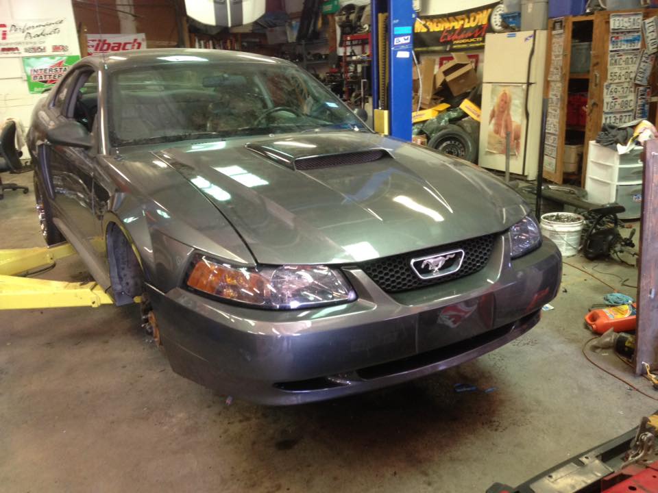 Whiteboy's Mustangs: 2003 mustang GT DSG