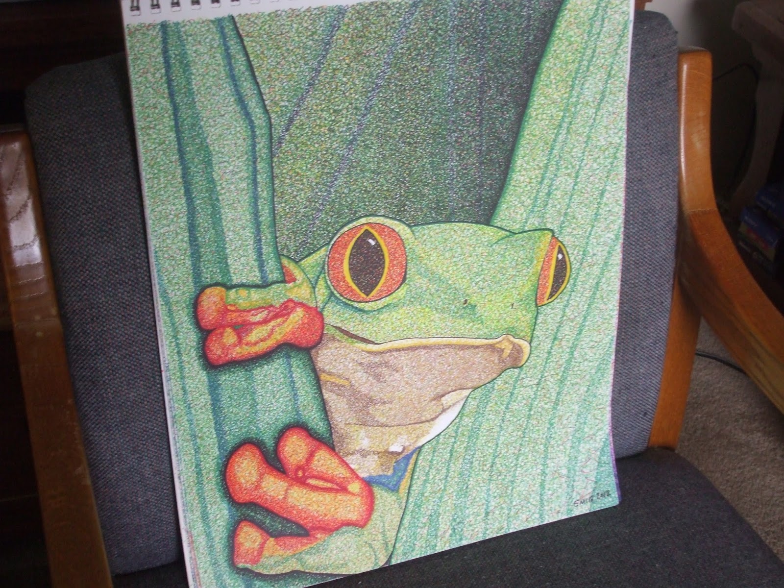 Steve Emig Art: Tree Frog Drawing