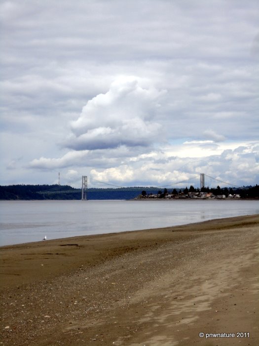 Chambers Bay Beach in University Place -- the North Beach