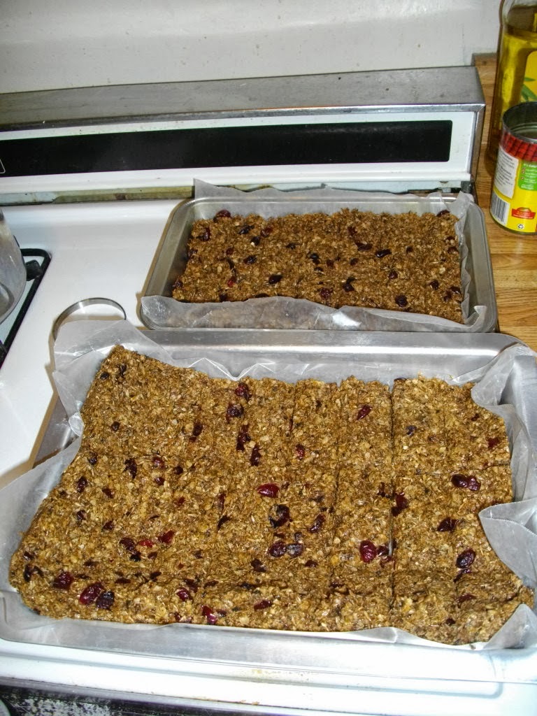 AB's Homebrewing: Spent Grain Bars