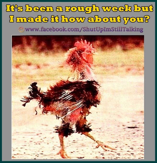 Rough Day Quotes Funny