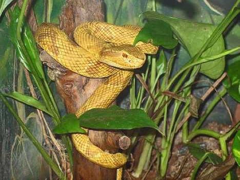 More than 1000 Travel Agents Across The World: The most horrifying ...