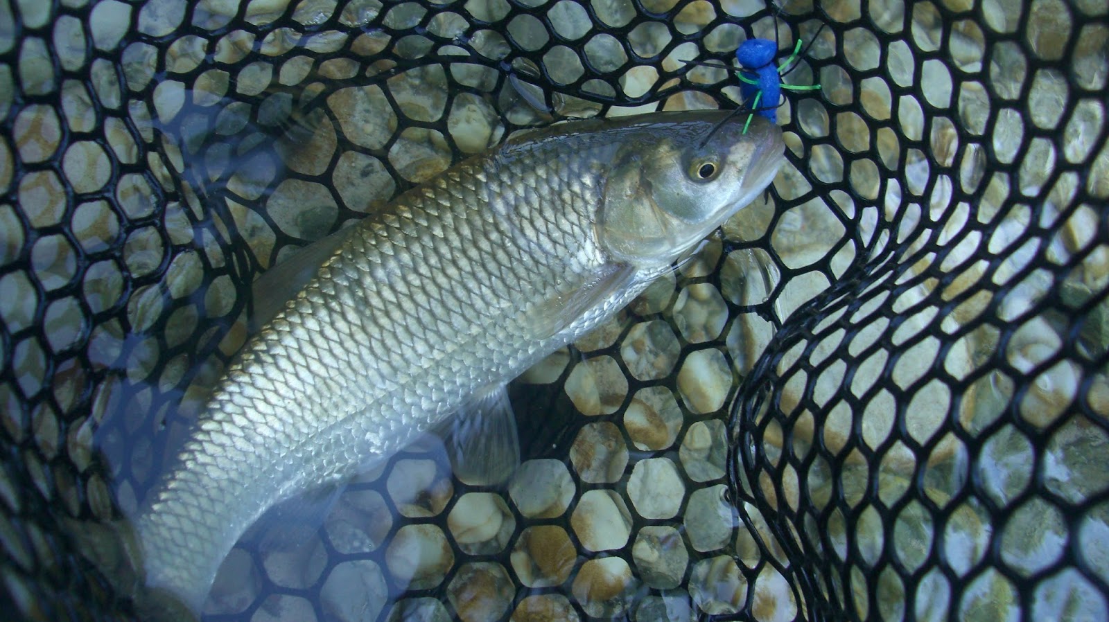 Extreme Spinning: Spinning al cavedano