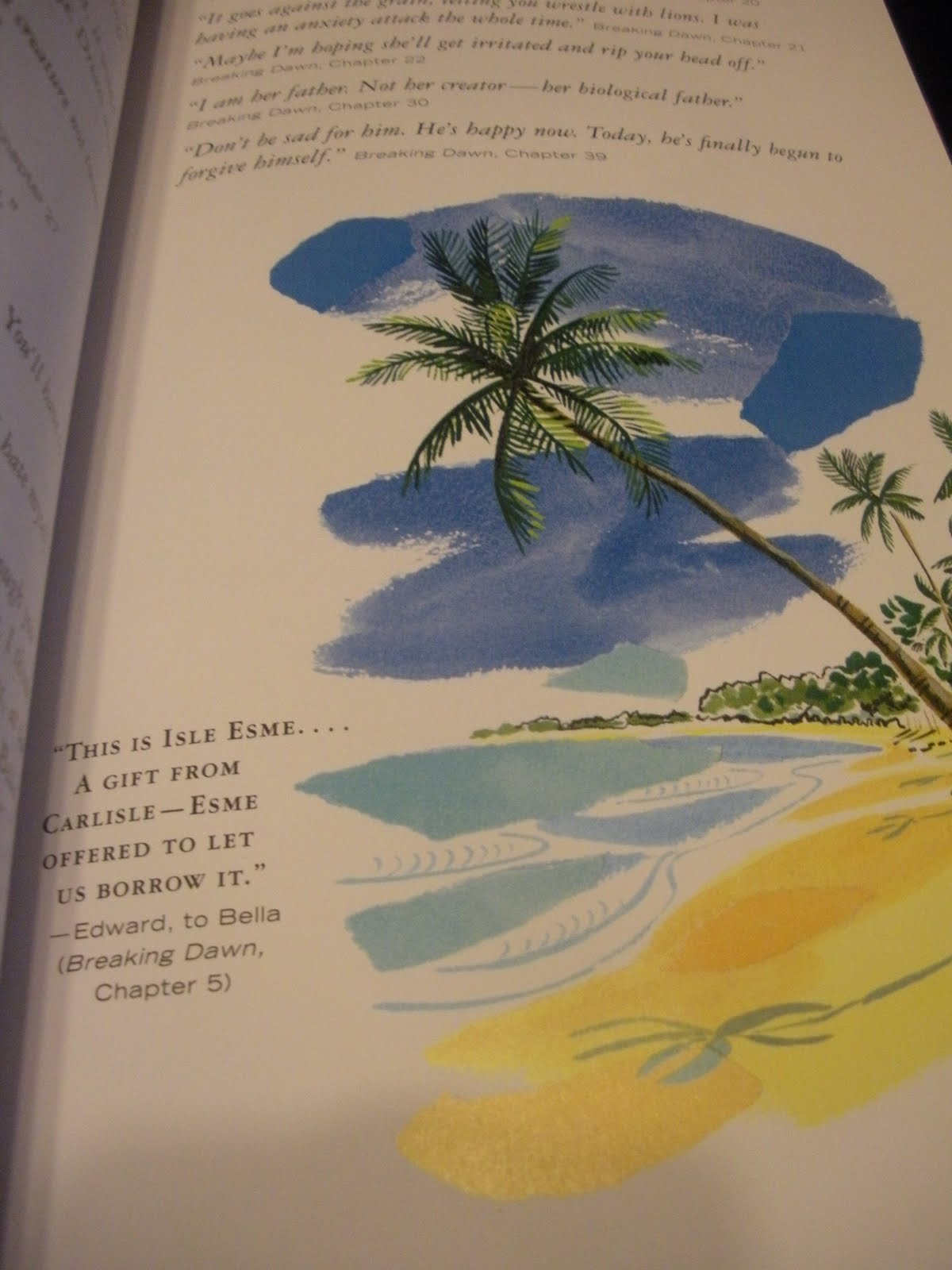 Twilight Continued...from another Point Of View: The Twilight Saga: The ...