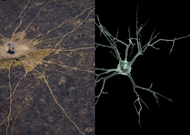 Forging a New Trail : being renewed through identity in Christ | The ...