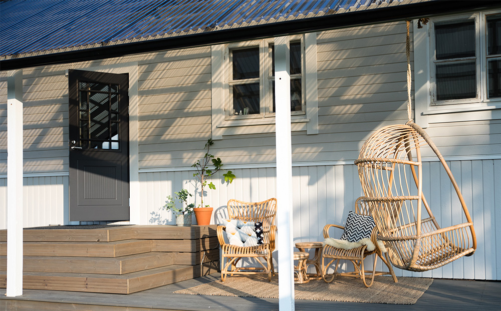 Pronssinvärinen valokate | Voikukkapelto