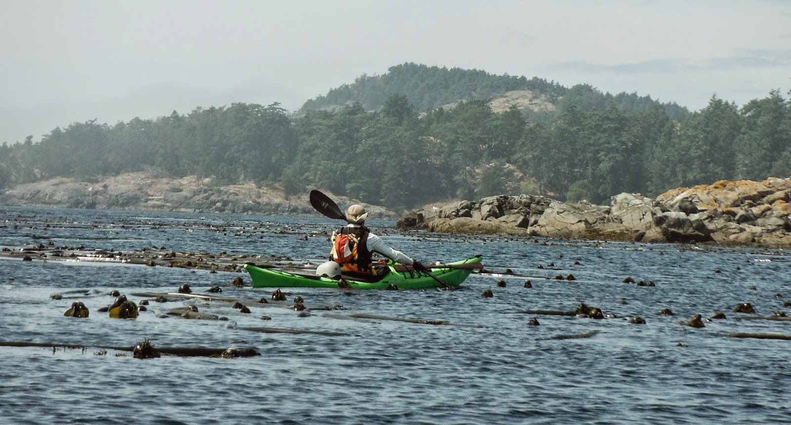 Gecko Paddler: Bentinck Island Playtime