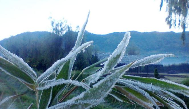 Travel To High Land of Wonosobo