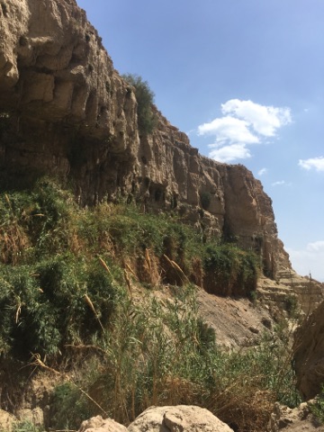 Exploring En Gedi Holy Land Tour